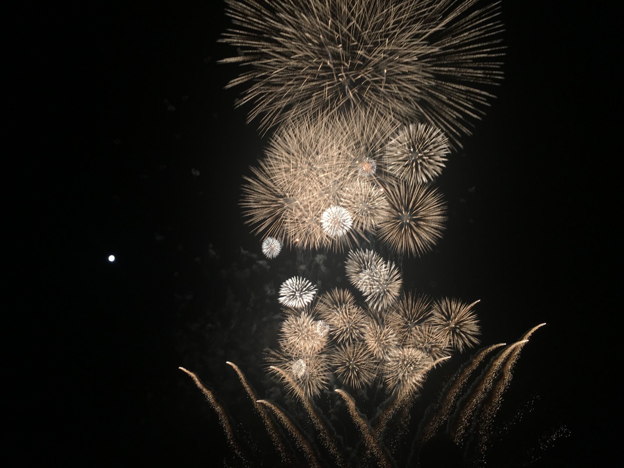 夏季休暇のお知らせ🍉🎆 | KOKUA株式会社